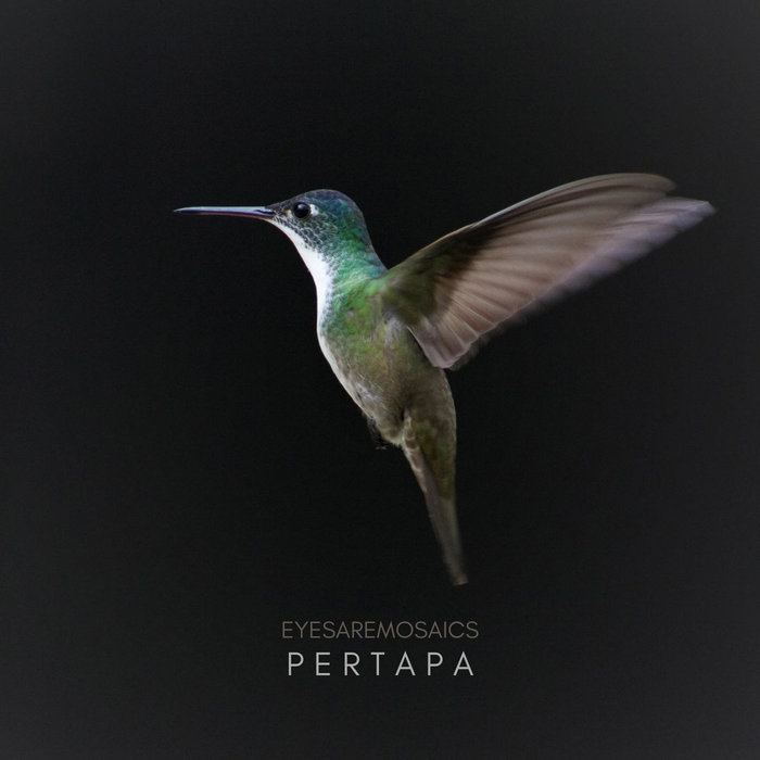 Pertapa | EYESAREMOSAICS