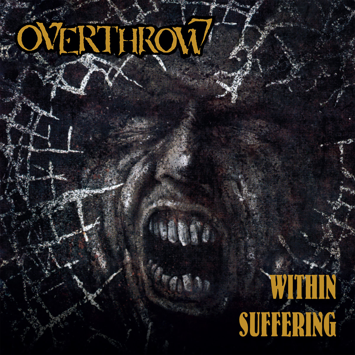 Within Suffering | Overthrow | vicrecords