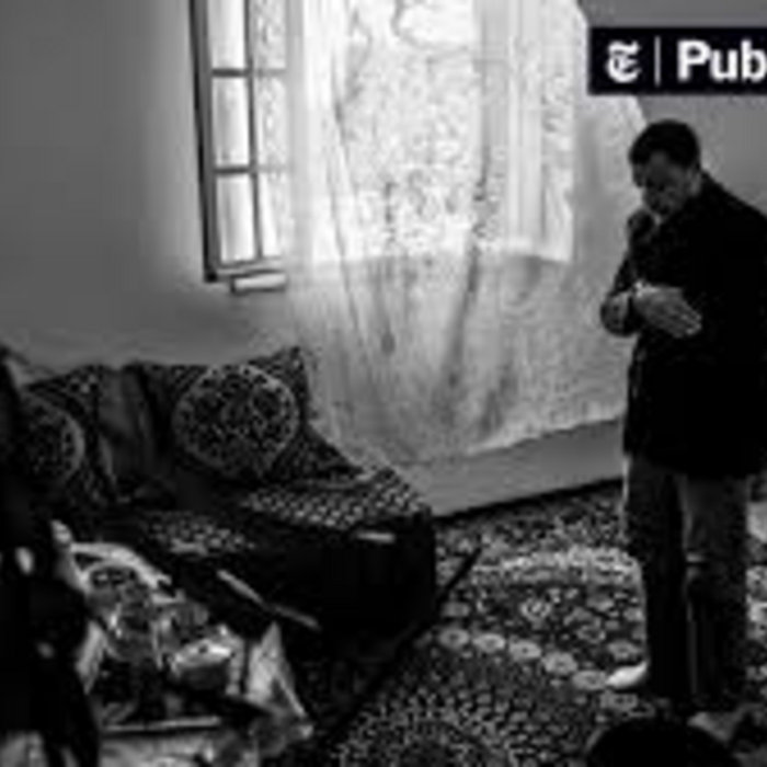 MNC/PNC | Cursed Circuits