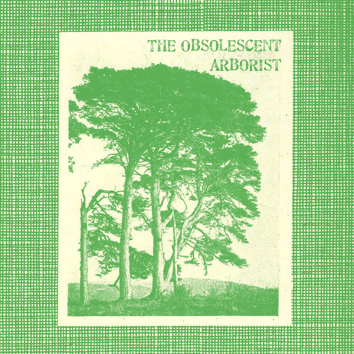 Tree, Timber and Forest | The Obsolescent Arborist
