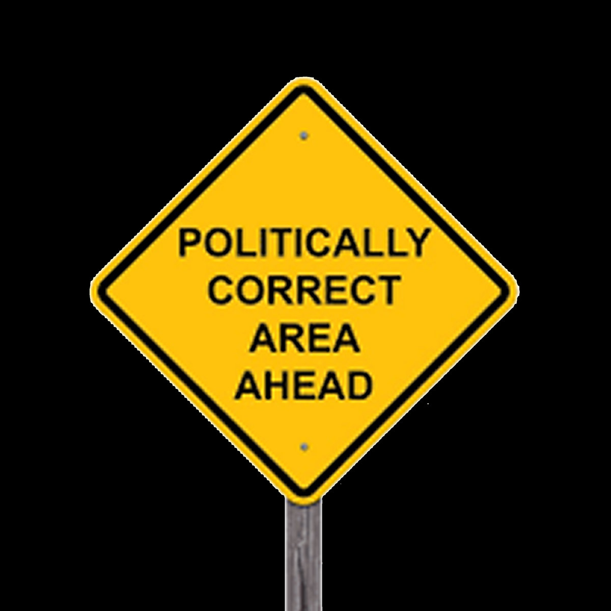Political Correctness | Lip Service | Michael Cohen and Liz Sumner