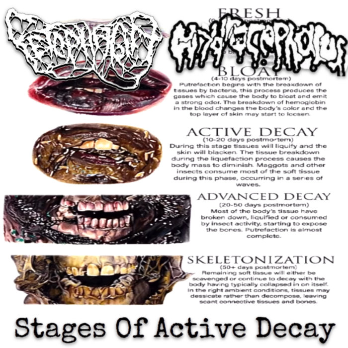 Stages of Active Decay | Fetophagia / Hydrocephalus | Severed Nerve Records