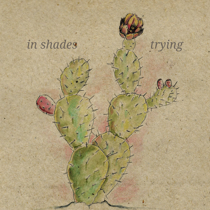 Trying | In Shades