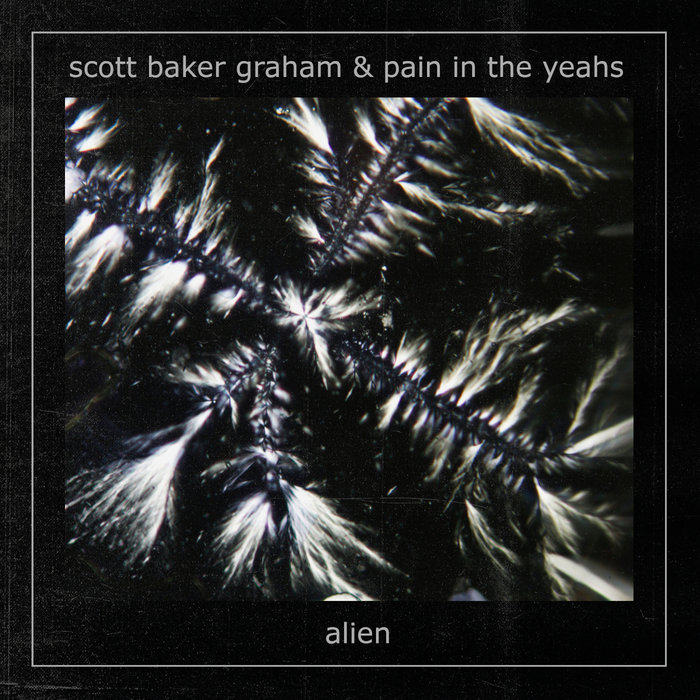 Alien | Scott Baker Graham & Pain in the Yeahs | Pain in the Yeahs