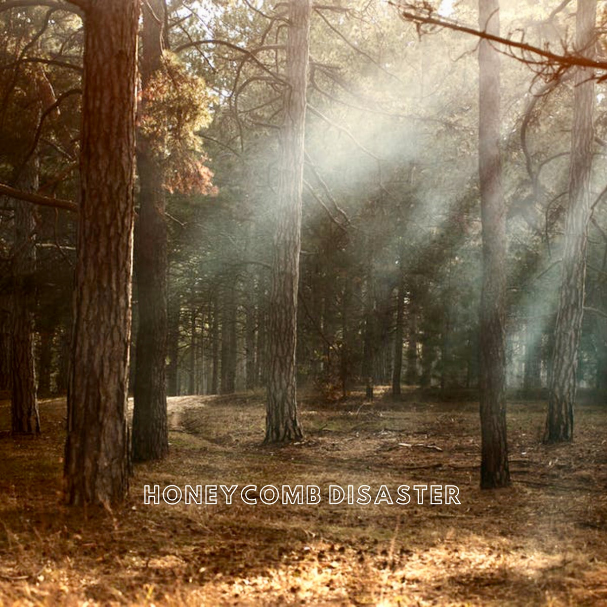 Honeycomb Disaster | Honeycomb Disaster