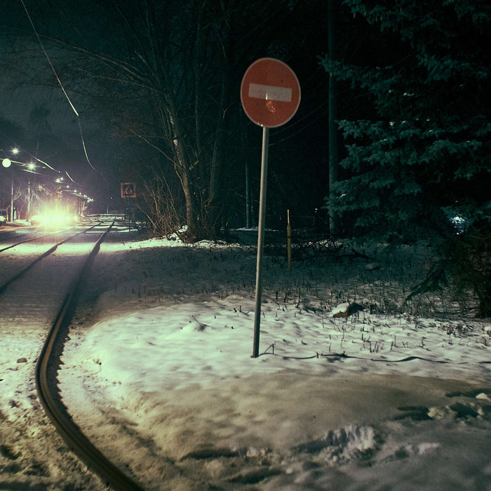 At Snowy Night | Goose Loop