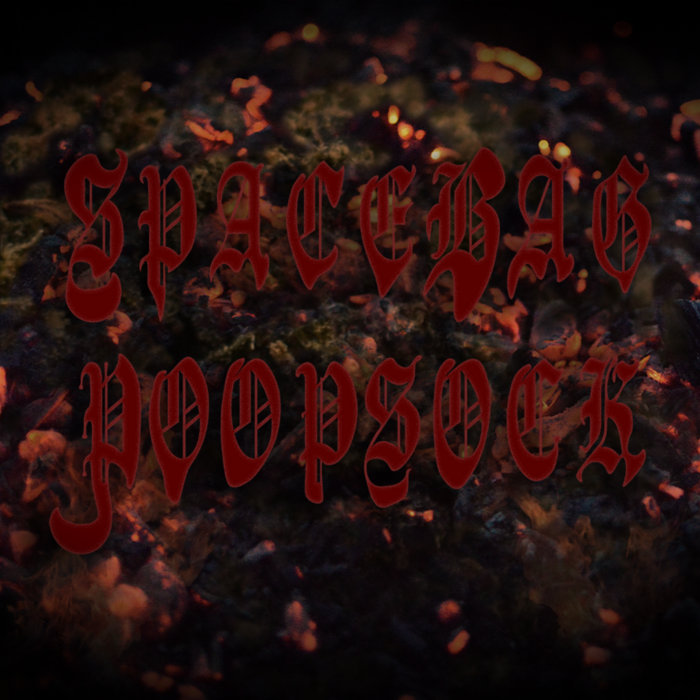 Spacebag Poopsock | Spacebag Poopsock