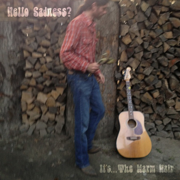 "Hello...Sadness?" | The Warm Hair