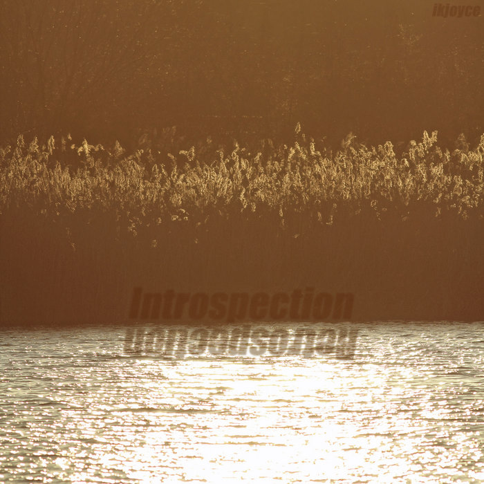 Introspection / Retrospection | ikjoyce