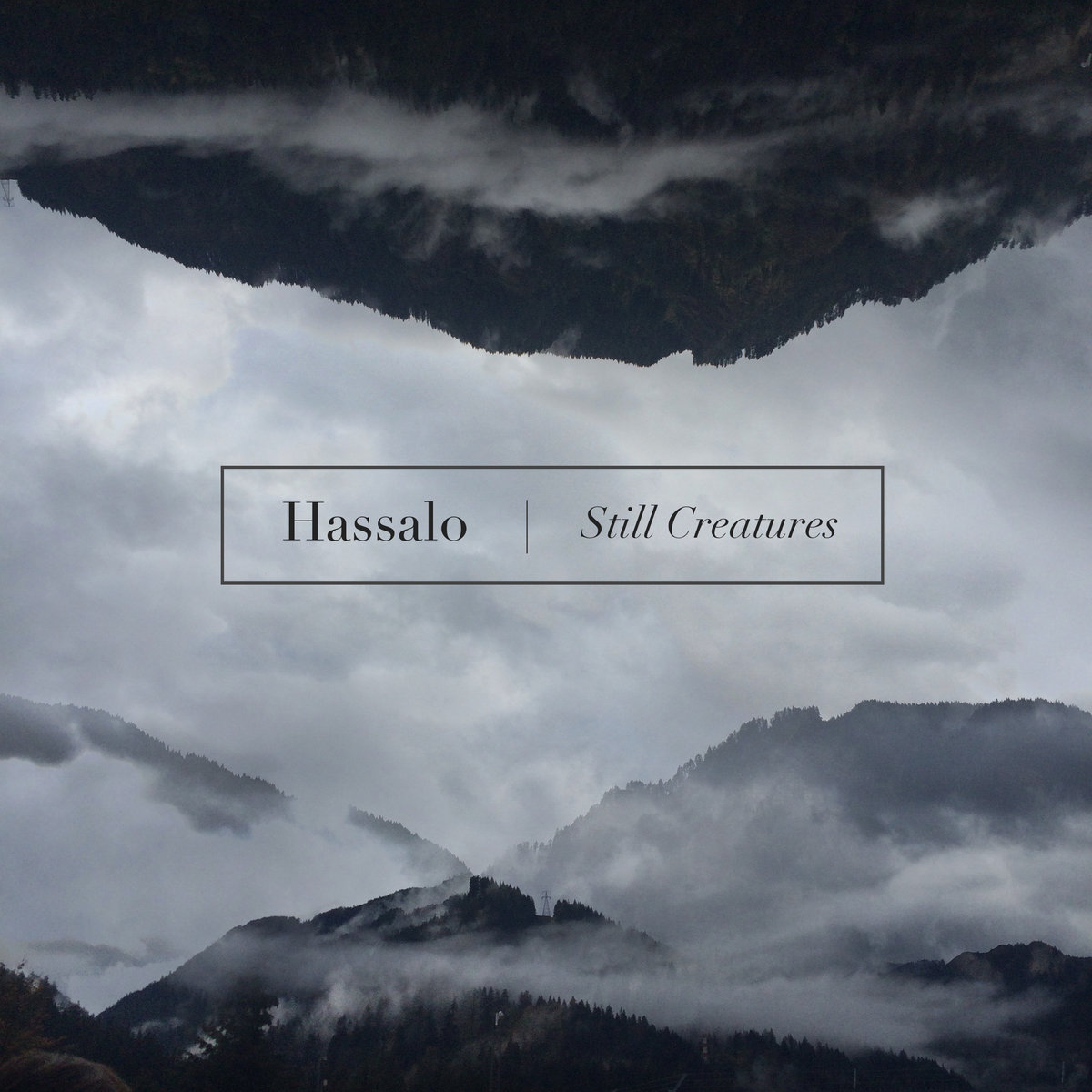 Still Creatures | Hassalo
