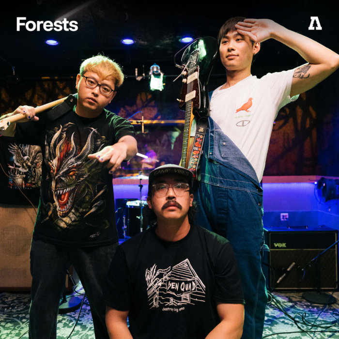 Forests on Audiotree Live | Forests | Audiotree