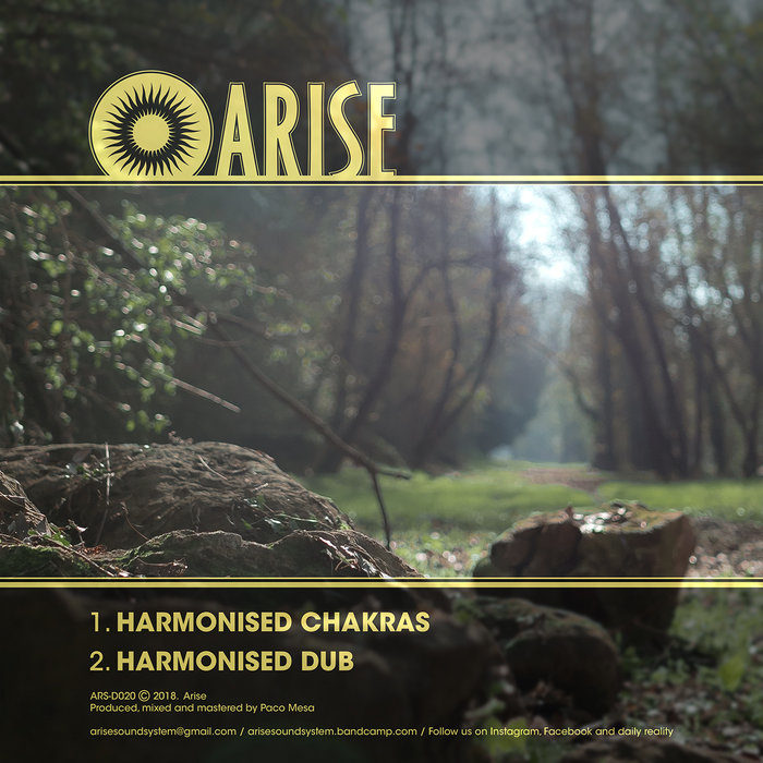 HARMONISED CHAKRAS | Arise Crew | Arise (sound system and label)
