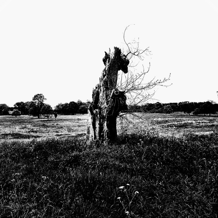 Untitled | Slumber Mill