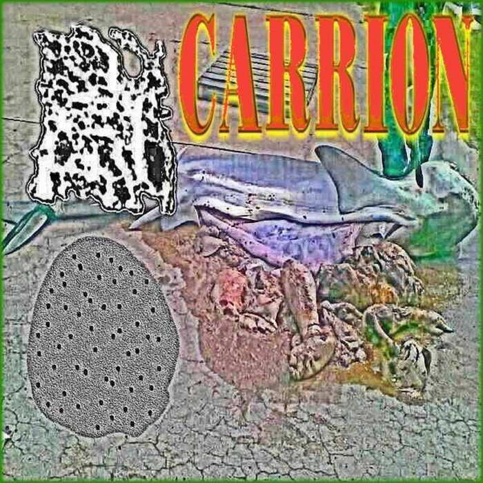 2 WAY SPLIT WITH AxExHxCx CARRION (FULL SPLIT) | DxBxAxIxRxHxFx ...