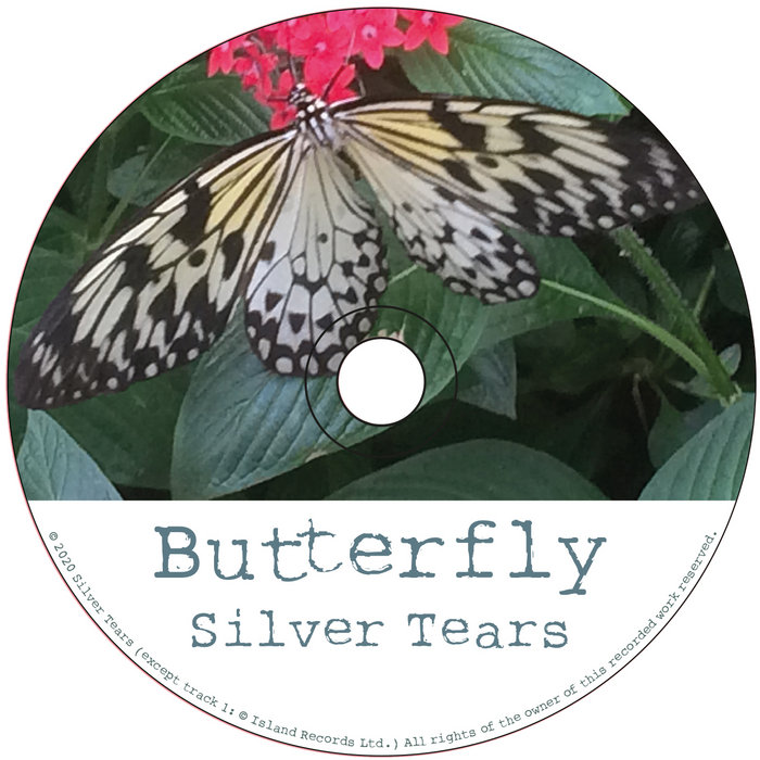 Butterfly | Silver Tears