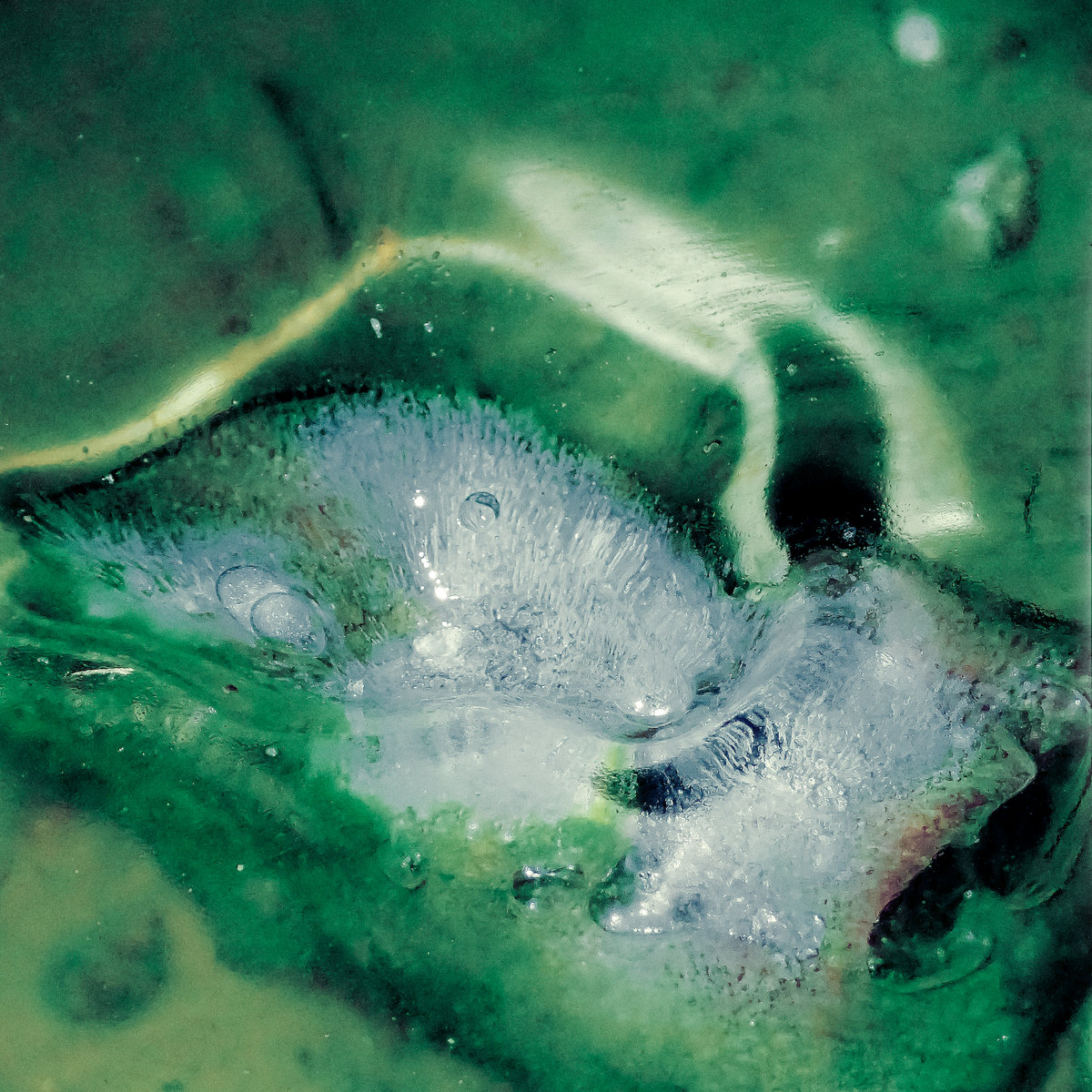 a pool, a portal | Tristan Arp