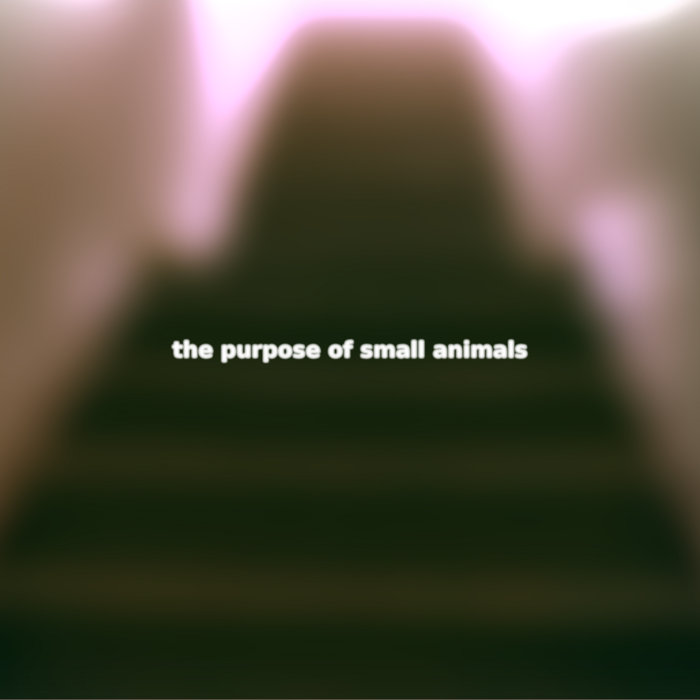 The Purpose of Small Animals | The Purpose of Small Animals