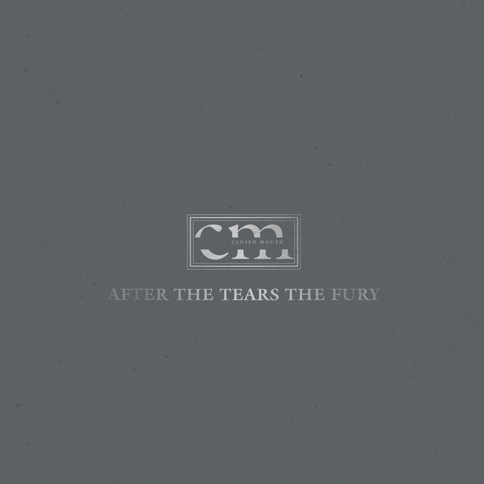 [uprGOLD038] After The Tears The Fury - Vinyl Instrumental Versions ...