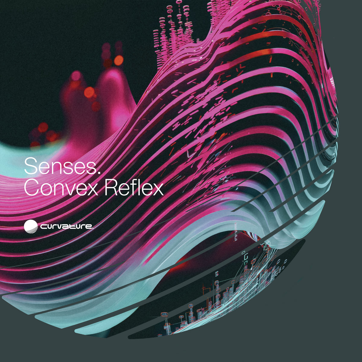 Convex Reflex | Senses