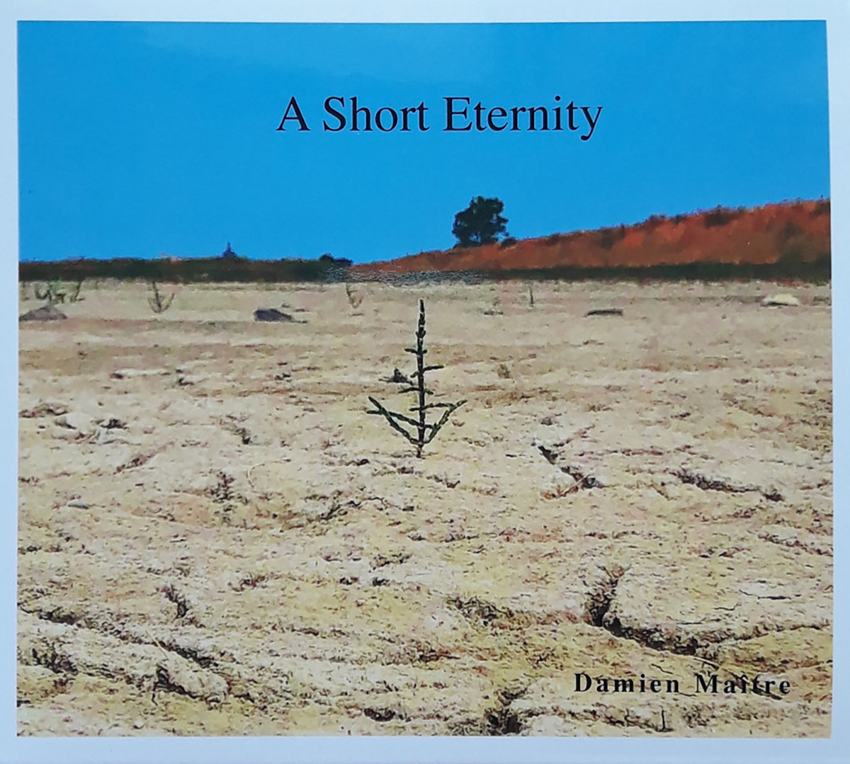 Damien Maître - A Short Eternity | 3615