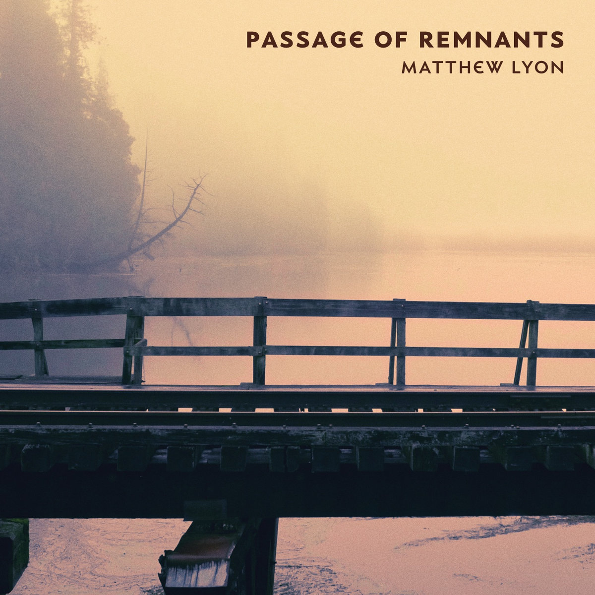 Passage of Remnants | Matthew Lyon