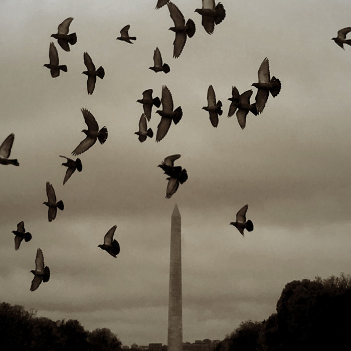 Oh My America | David Berkeley