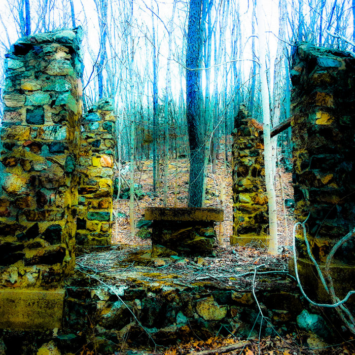 Deep Forest Rituals-Collection | Zeta Tauri