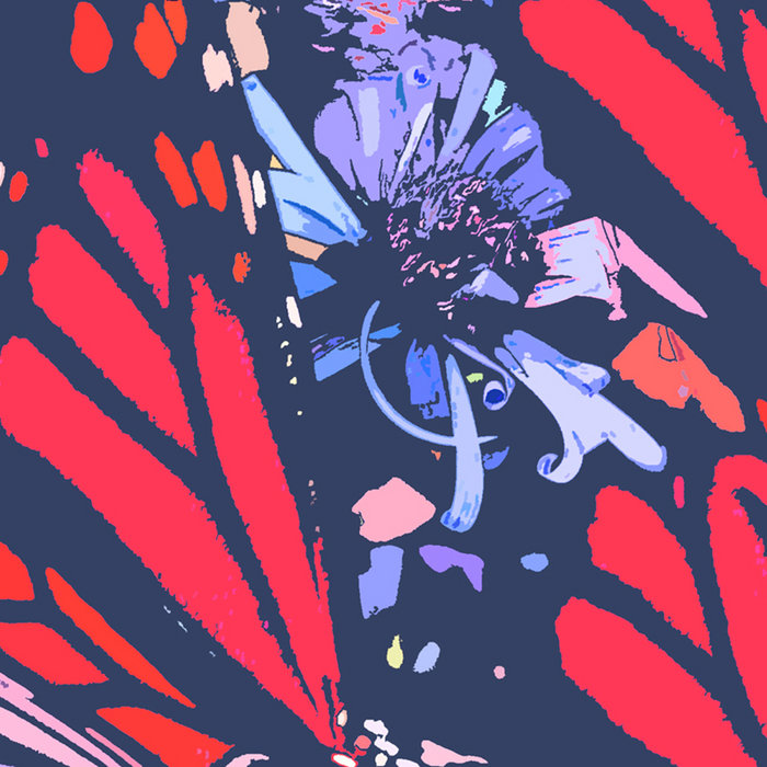 acoustic demos | False Gardens