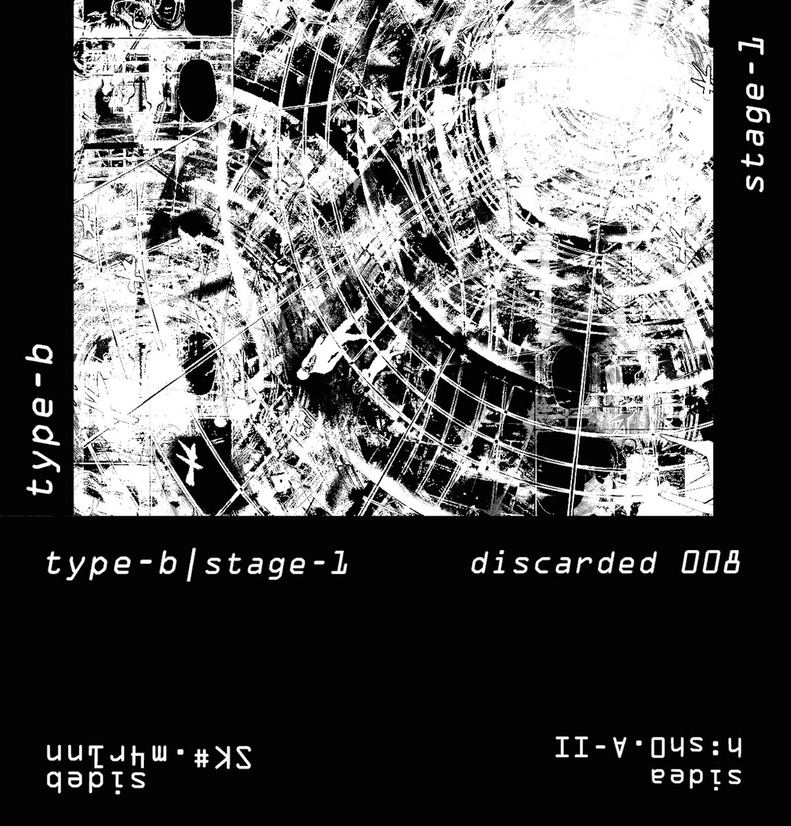 Type B (Discarded 008) | Type B | Discarded Records