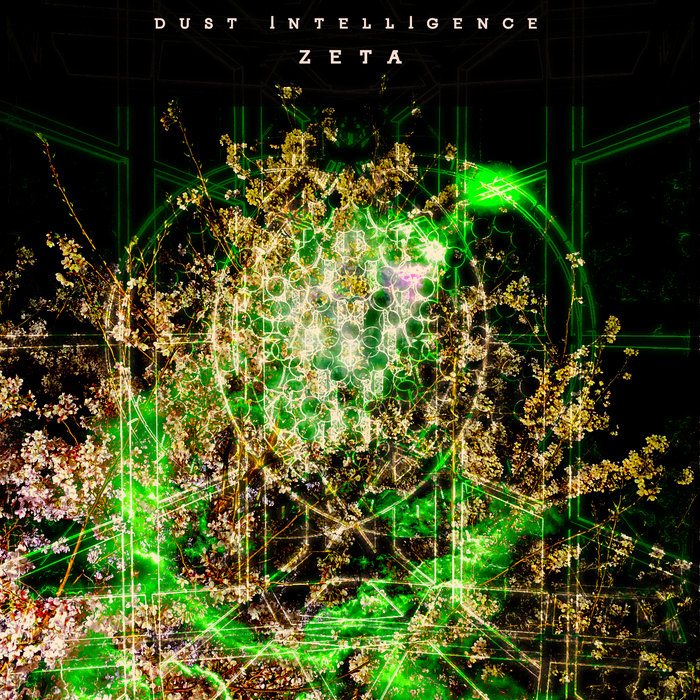 Dust Intelligence ZETA | KK NULL