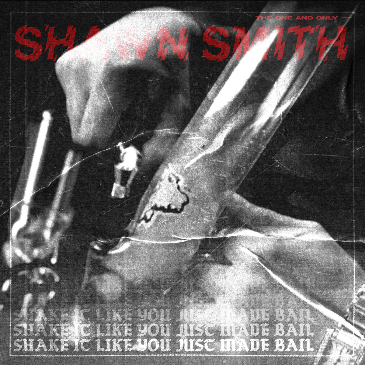 Shake It Like You Just Made Bail | Shawn Smith