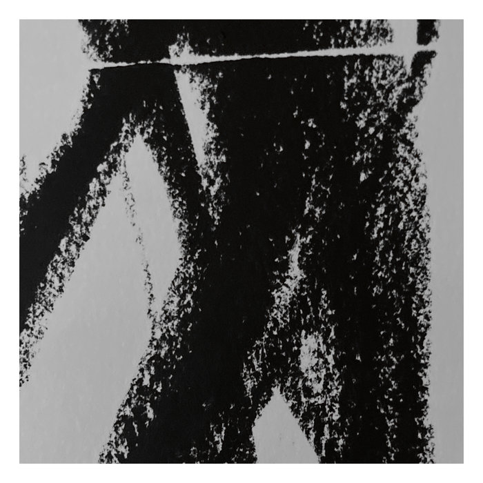 [FAM107] Field Data/4 | Coral Reef Community & Christian Rutz | Fallen ...