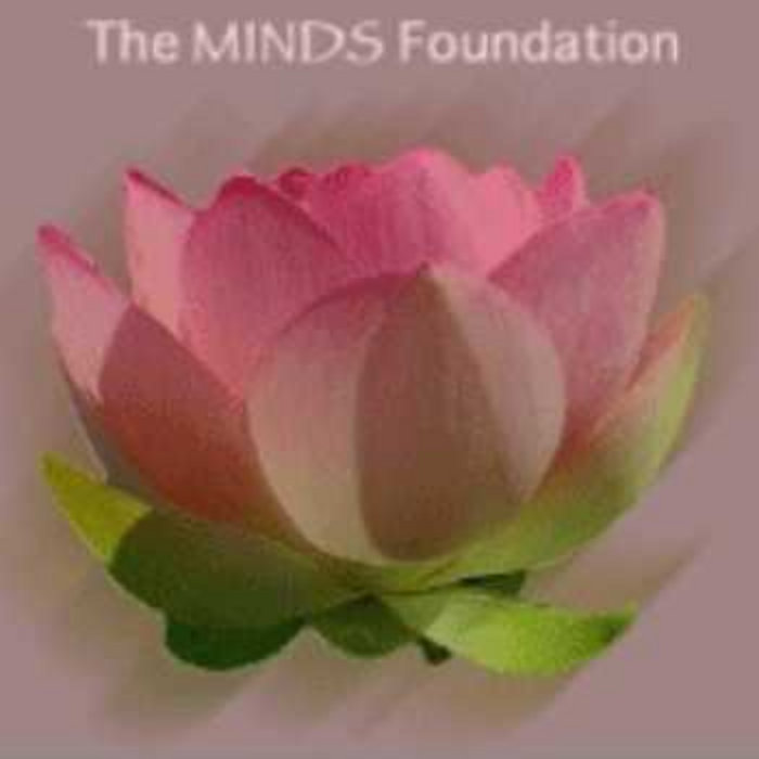 Student Artists for the MINDS Foundation | The MINDS Foundation ...