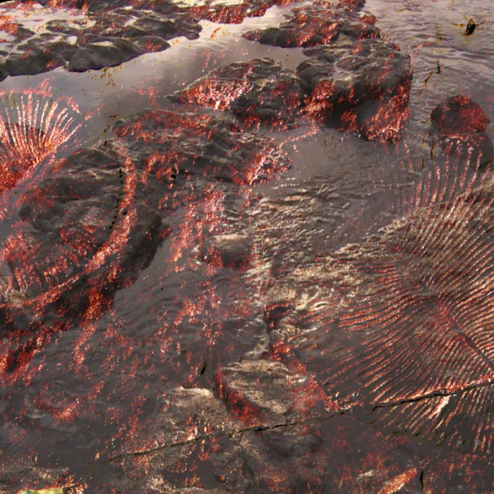 PREHISTORY | POLYSEME