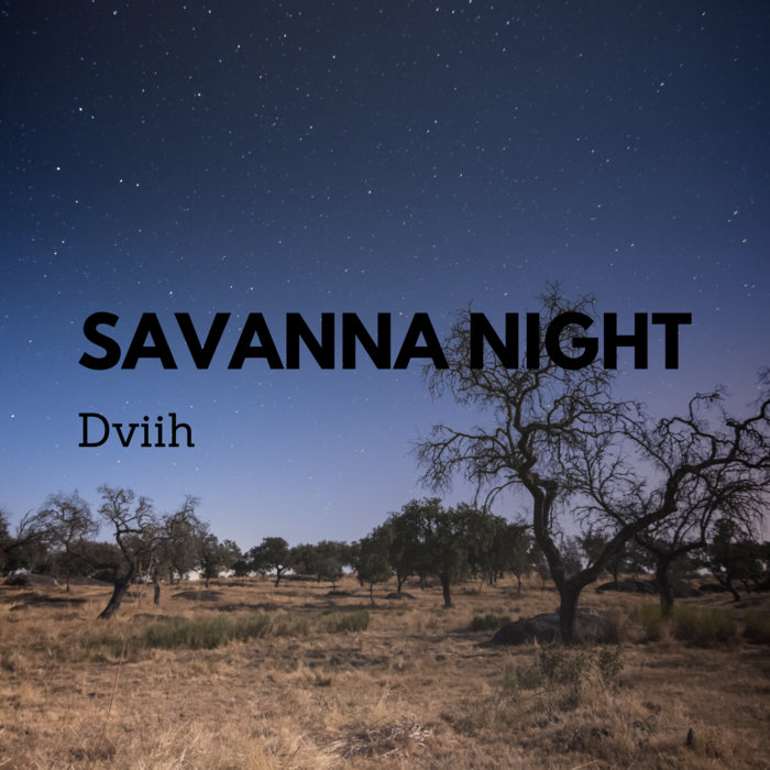 Savanna Night | Dviih