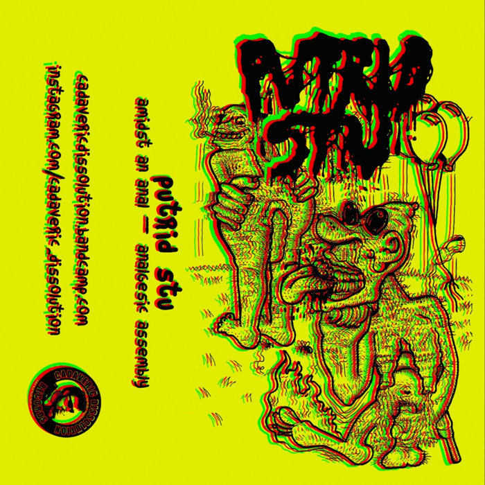 Putrid Stu – Amidst An Anal - Analgesic Assembly | Cadaveric ...