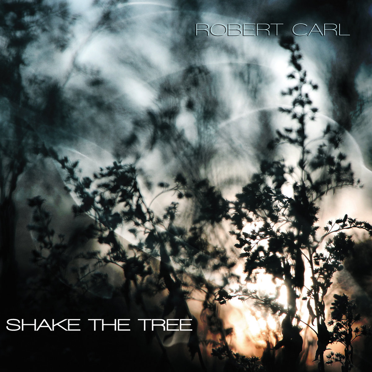 Shake the Tree | Robert Carl