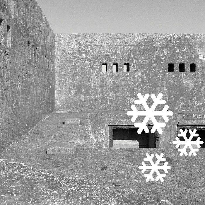 Snowflakes on Concrete | The Twelve Hour Foundation