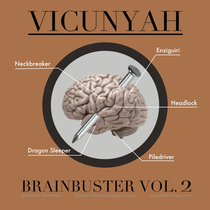 Brainbuster Vol. 2 | Vicunyah