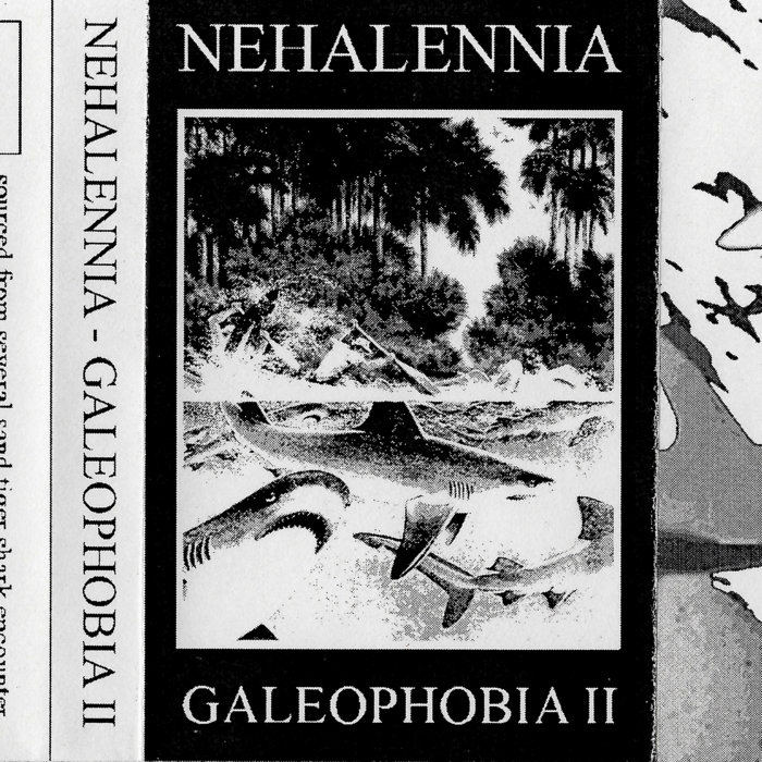 GALEOPHOBIA II | NEHALENNIA
