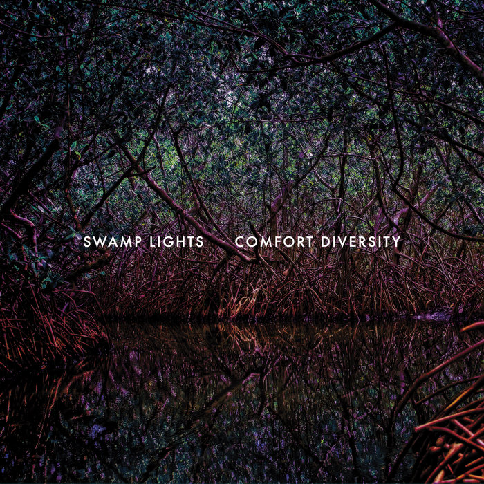 Comfort Diversity | Swamp Lights