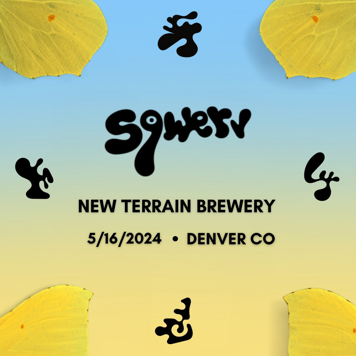 Live Sqwerv: 5/16/2024 | NewTerrain Brewery | Golden, CO | Sqwerv