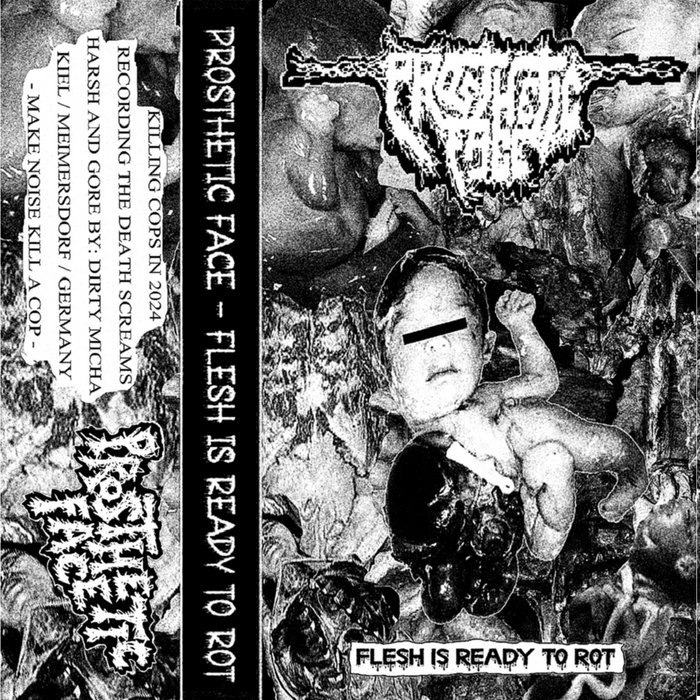 FLESH IS READY TO ROT | Prosthetic Face | Severed Nerve Records