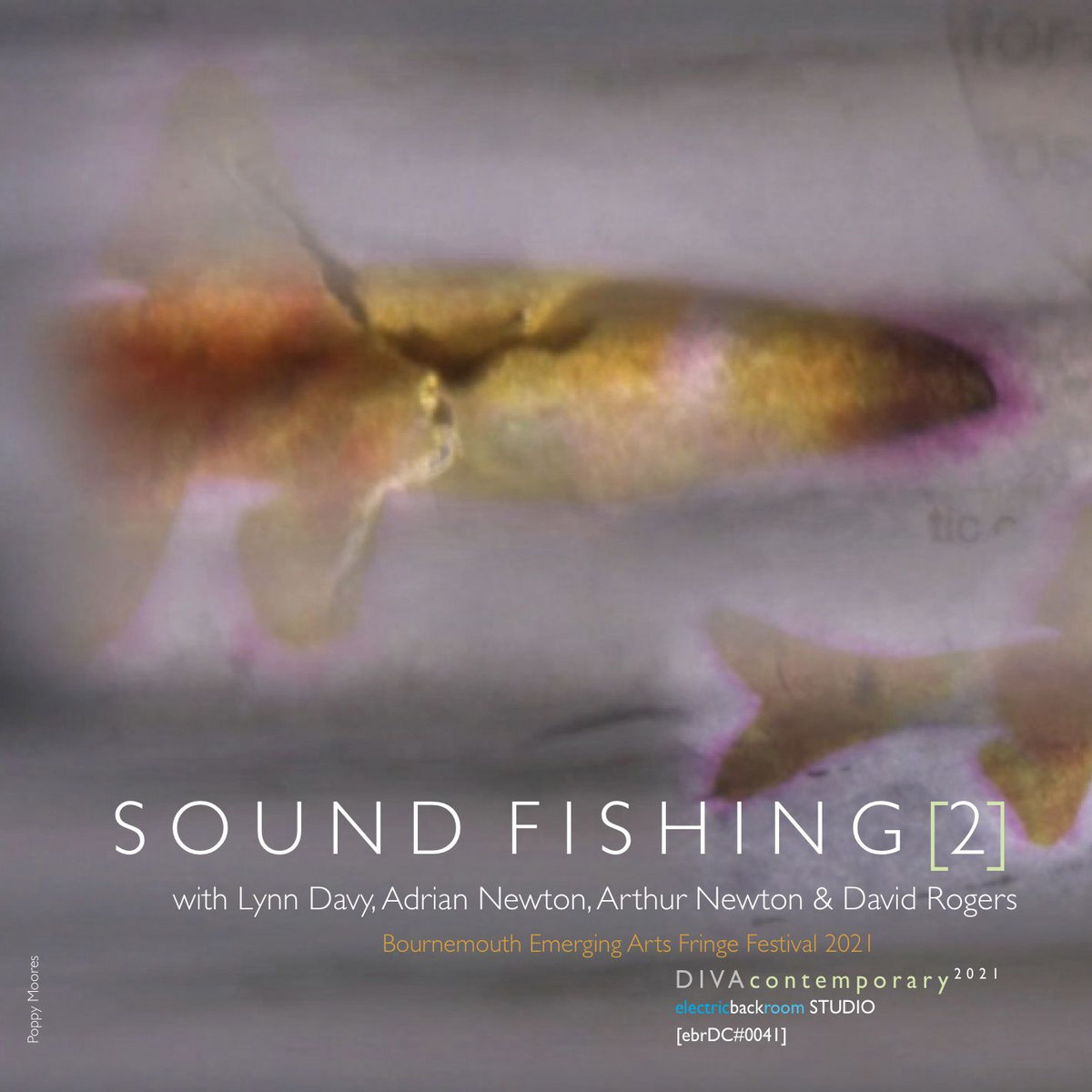 S O U N D F I S H I N G [2] | Lynn Davy, Adrian Newton, Arthur Newton ...