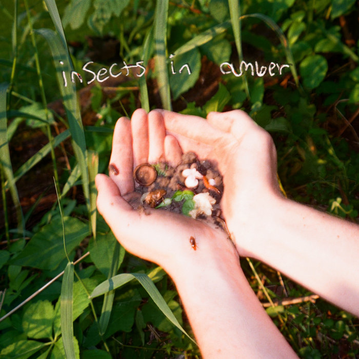 Insects in Amber | Infinite Monkey Theorem