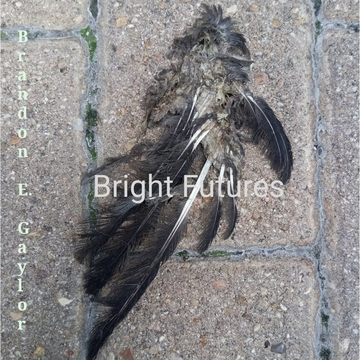 Bright Futures | Brandon E Gaylor