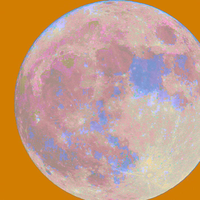 HDLDGCN | Justin Holeman Sabaj | NNNNN