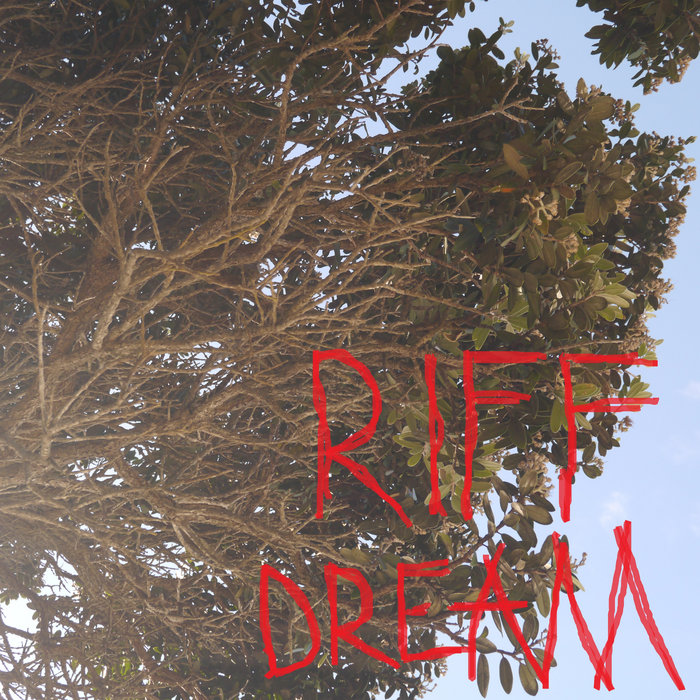 You Make Magic Look Easy | Riff Dream