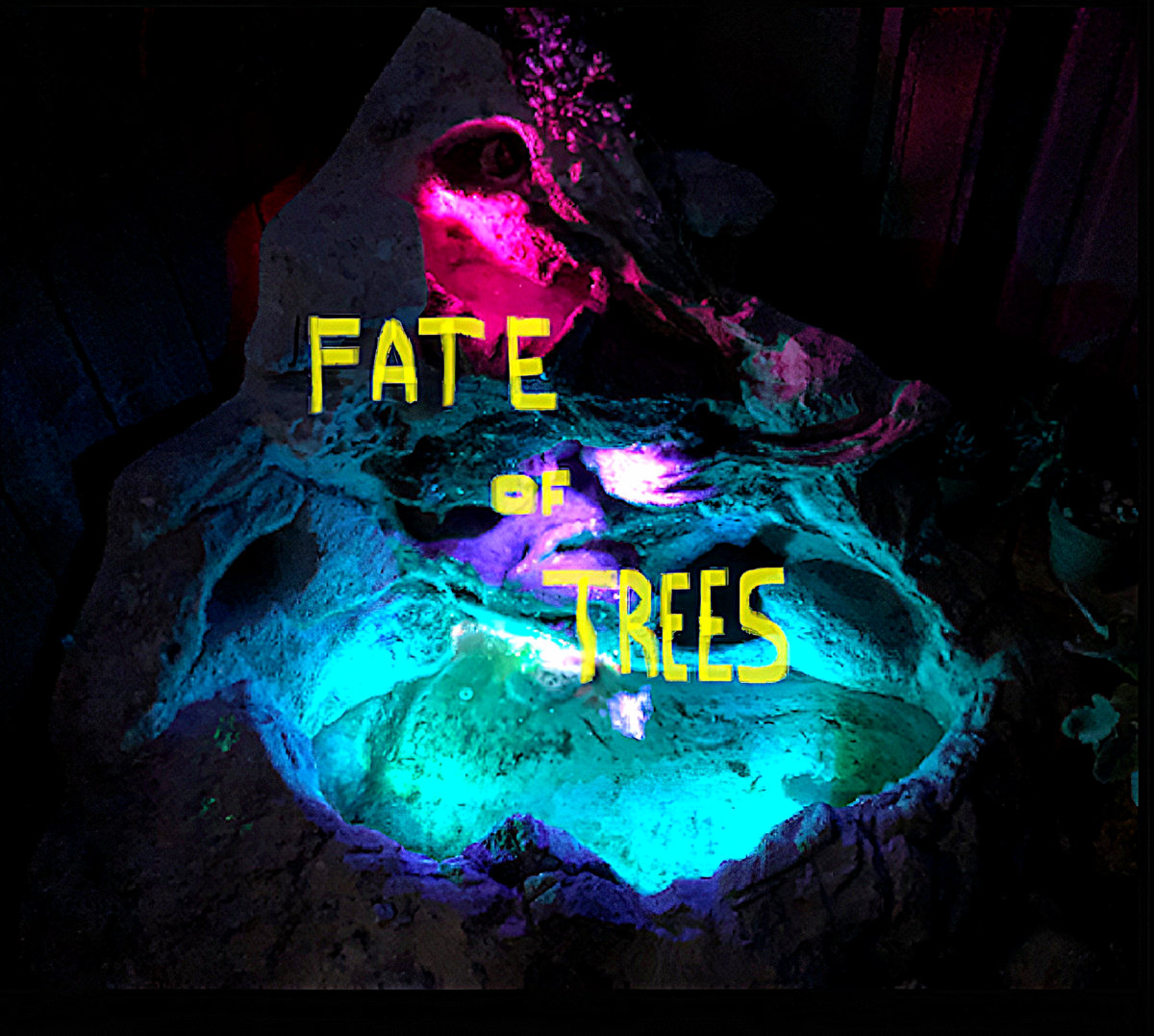 Fate of Trees | Doug McCowen