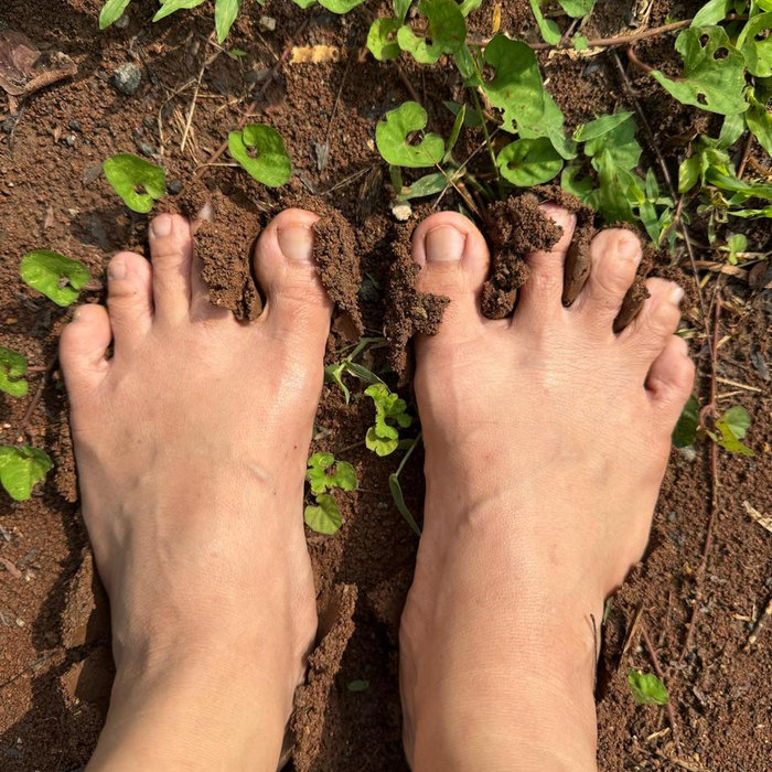 Jejak | Peni Candra Rini